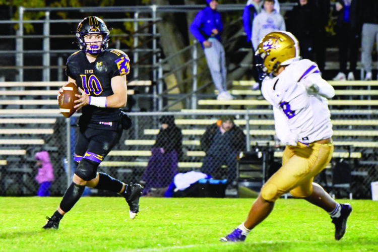 LYNX EDGED IN SHOWDOWN | News, Sports, Jobs - The Freeman Journal